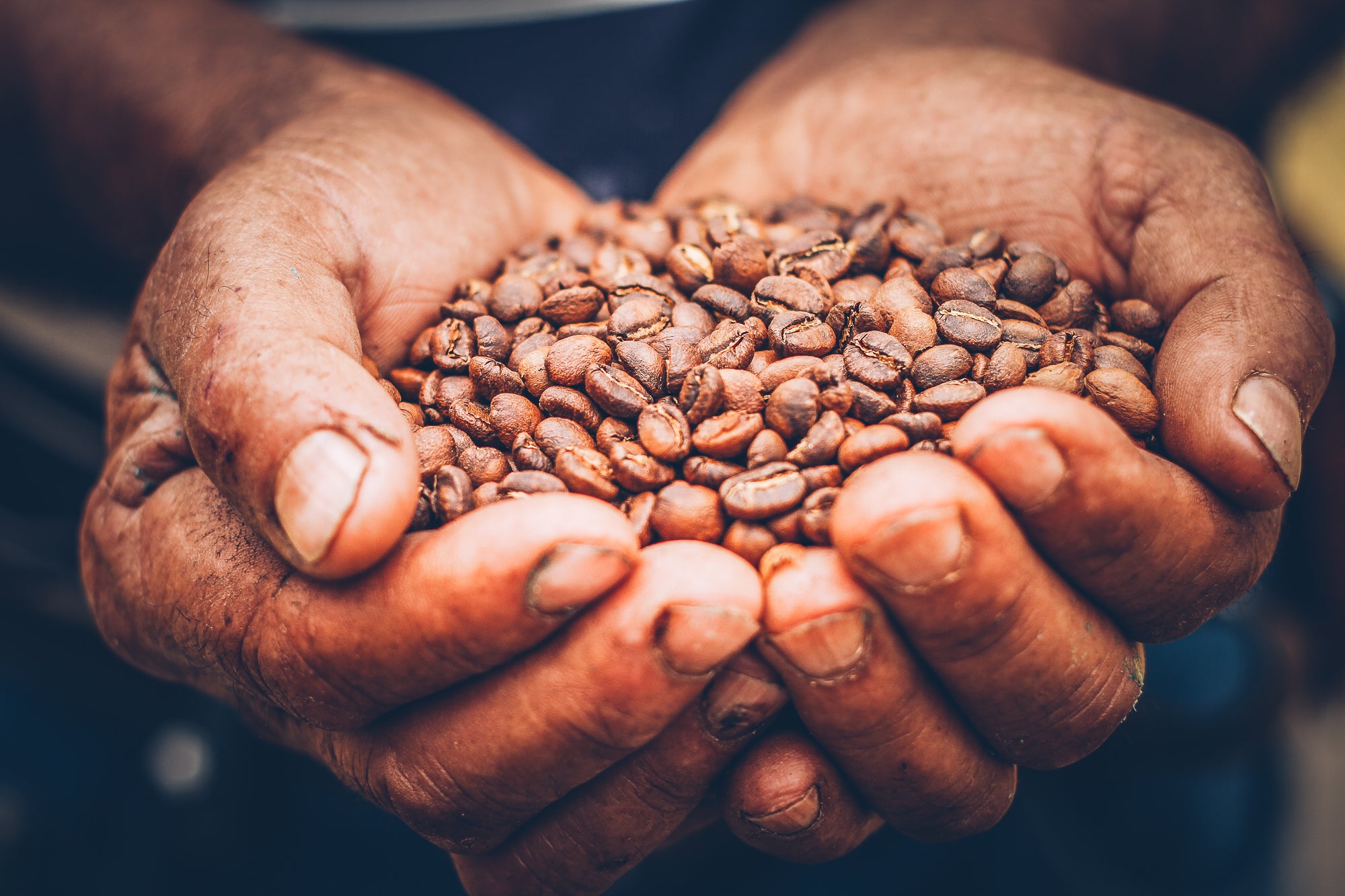 The Heritage of Coffee: Tracing the Roots of Our Signature Breakfast B